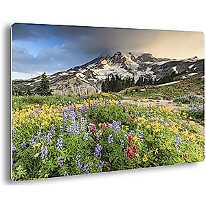 Personalized Metal Print Photo on Metal in High Definition and Variety of Sizes Ready to Hang – Metal Printing Your Custom Photos Makes The Perfect Wall Decor for Your Home or Office - Made in USA