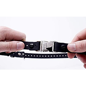 Educator Quick Snap Bungee Dog Collar, Biothane, Waterproof, Odorproof, Easy Connect and Disconnect Clasp and D Ring with Comfort Bungee Loop, Adjustable for Custom Fit, 3/4-Inch, Black