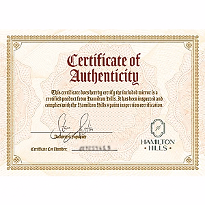 Hamilton Hills Contemporary Brushed Metal Wall Mirror | Glass Panel Black Framed Rounded Corner Deep Set Design | Mirrored Rectangle Hangs Horizontal or Vertical (30inch x 40inch)