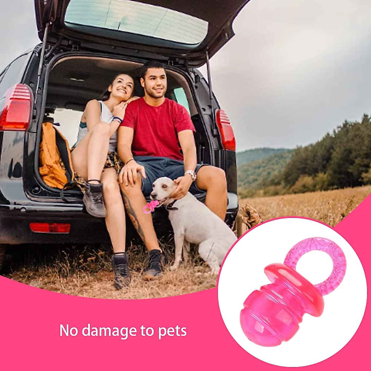 YPWangShengRui 3 Pieces Dog Chew Toys TPR Dog Teething Toys Pacifier Shape Dog Bite Toys for Dogs Indoor and Outdoor Training and Play