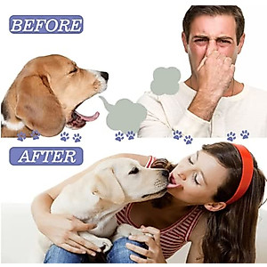 Pet Clean Teeth Spray, 2023 New Formula for Dogs & Cats, No Brushing Required, Freshens Breath, Prevents Plaque & Tartar, Natural Oral Care Spray (1pc)