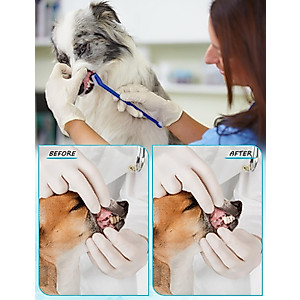 CRAZYBELLY 10 Pcs Dog Toothbrush Cat Toothbrush Pet Toothbrush Dual-Headed Toothbrush for Dogs Teeth Cleaning Dog Tooth Brush