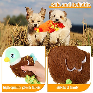 Leyndo 2 Pack Squeaky Plush Dog Toy Duck Chicken Dog Toy Teething Toys for Dog Puppies Interactive Stuffed Chew Toys Stuffed Animal Chew Toys for Small Medium Dogs Halloween Christmas Present