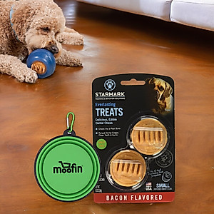 Starmark Everlasting Dog Treat Bacon Dental Chews, 1.2 oz, Long-Lasting, Supports Oral Health, Bundle Silicon Pet Bowl - Freshens Breath, 2-Pack, Fun Shape, Meaty Flavor [Pack of 6]
