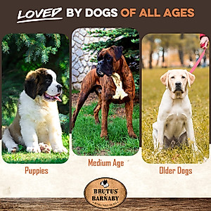 100% Natural Half Pig Ear Dog Treat, 15 pack, Our Healthy Dog Pig Ears Halves Are Easy To Digest, Chemical & Hormone Free Thick Cut Pig Ears For Dogs Aggressive Chewers, Great For Small Or Large Dogs