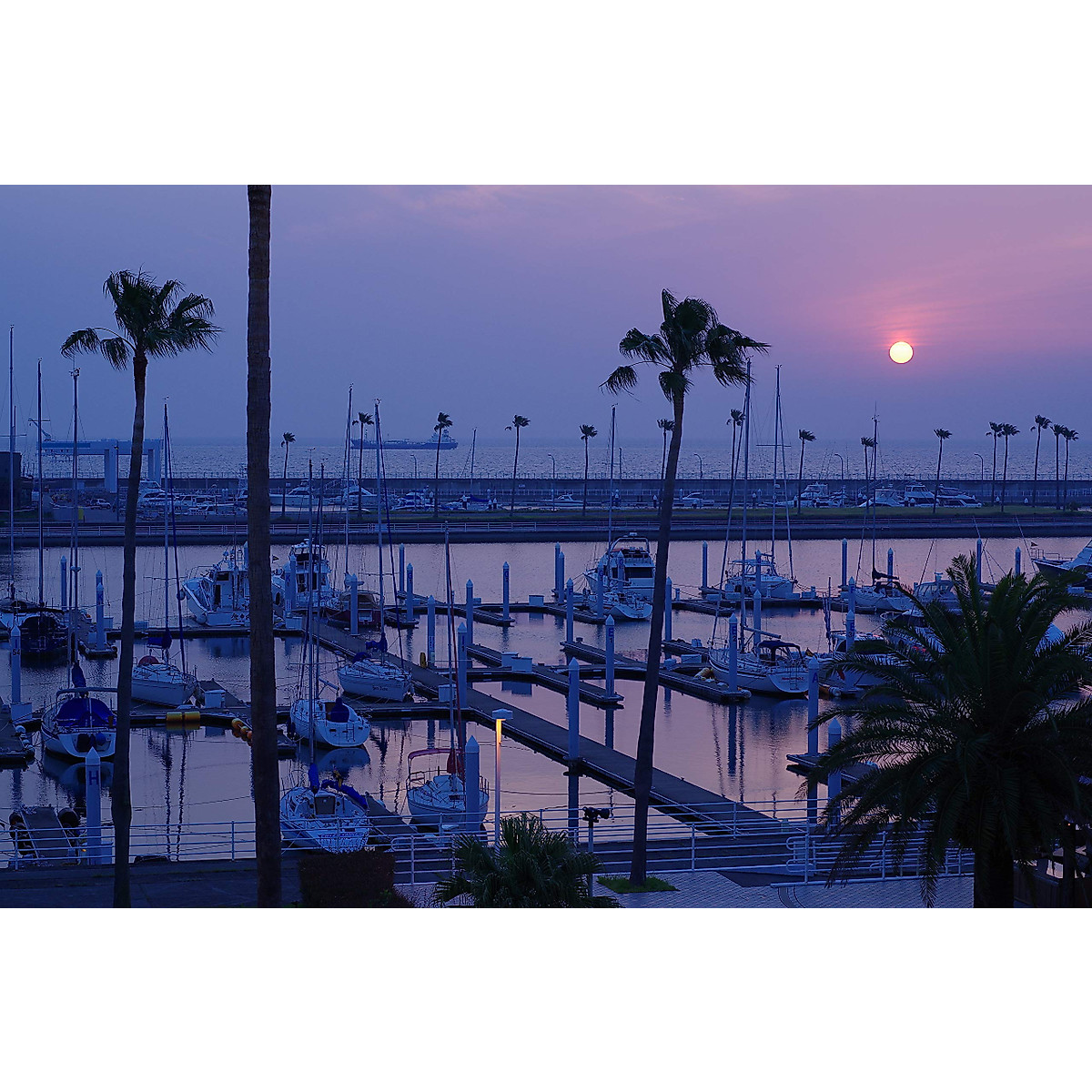 Pentax DA 50mm f1.8 lens for Pentax DSLR Cameras