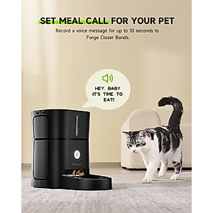 APETDOLA Automatic Cat Feeder, 5G WiFi Cat Food Dispenser with APP Control, 3L/12 Cup Timed Cat Dry Food Dispenser, Auto Pet Feeder Programmable for Cats & Dogs, 10s Voice Recorder, Dual Power Supply