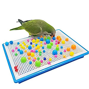 QBLEEV Bird Intelligence Training Toy,Parrot Puzzle Building Blocks Toy,Tabletop Treats Education Toys, Bird Plastic Cage Playpen Toys for Parakeet Cockatiel Conure Budgie (Large)