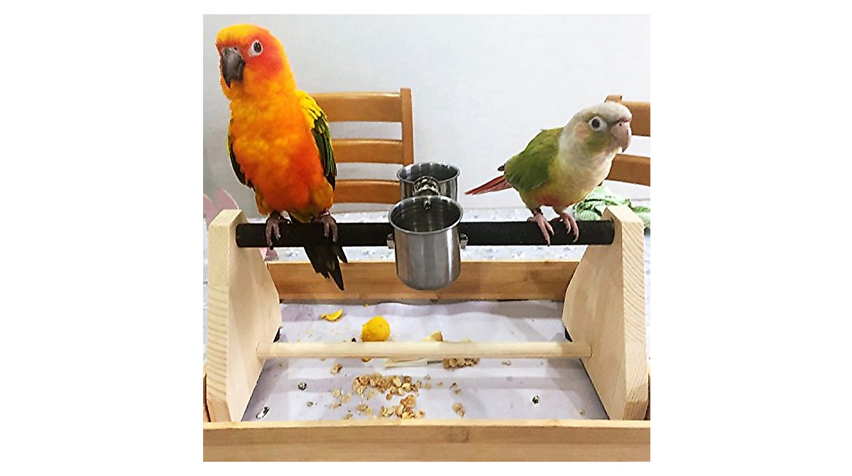 QBLEEV Parrot Play Wood Stand - Portable Bird Perch & Feeder