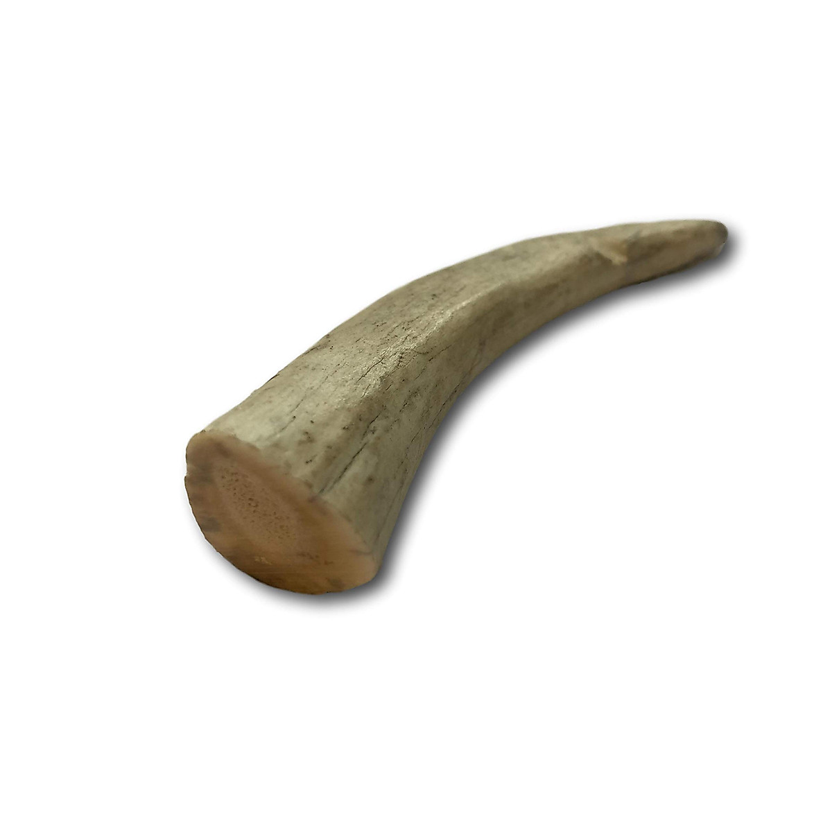 Top Dog Chews Premium Grade A Natural Shed Hard Moose Antler by The Pound. Variety Pack Brand! (1LB)