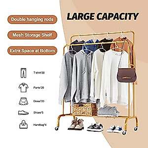 Sapodilla Double Rod Garment Rack with Shelf,Heavy Duty Hanging Clothes Rack with Wheels,Rolling Clothing Rack for Hanging Clothes,Clothes Hanger Rack,Metal Frame,Gold