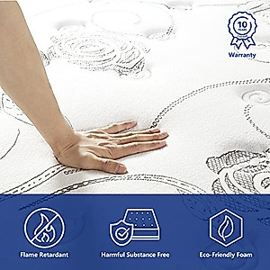 Olee Sleep Memory Foam 13 Inch Plush Galaxy Euro Box Top Spring Mattress