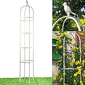 Garden Trellis for Climbing Plants, Rustproof Metal Pipe with Heavy Duty 6ft, Garden Outdoor Indoor Potted Plant Support（White）…