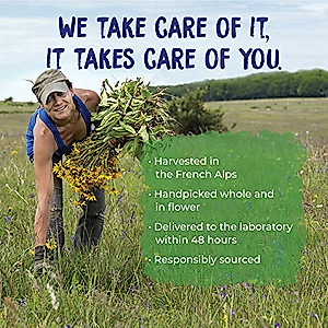 Boiron Arnica Montana 30X Homeopathic Medicine for Relief from Muscle Pain, Muscle Stiffness, Swelling from Injury, and Discoloration from Bruises - 3 Count (240 Pellets)