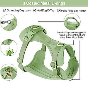 Wisedog No Pull Lightweight Dog Vest Harness with Soft and Comfortable Cushion, Breathable Mesh, for Small Medium Large Dogs Walking (S(Neck: 9.84"-14.17";Chest: 14.17"-22.05"), Sage Green)