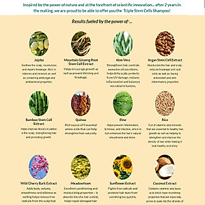 More Hair Naturally TRIPLE STEM CELL SHAMPOO: State Of The Art Hair Improvement For Extra volume, Fullness and Improved Scalp Health