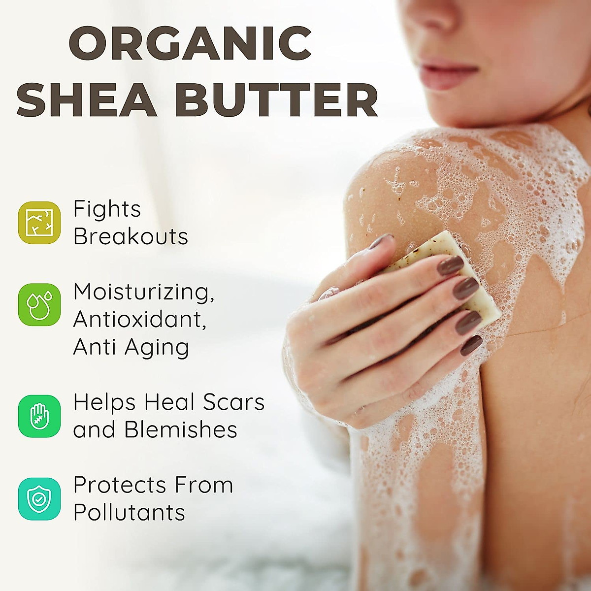 DR. HEMPSTER Hemp Soap Bar Variety 3 Pack - Activated Charcoal and Aloe Soap, Hemp and Mint Soap, Shea Butter and Citrus Soap - 5 oz Bars