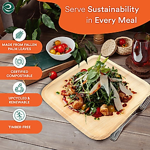 ECO SOUL Compostable 8 Inch Palm Leaf Square Plates (20 Count) Like Bamboo Plates | Biodegradable | Eco-Friendly, Microwave & Oven Safe