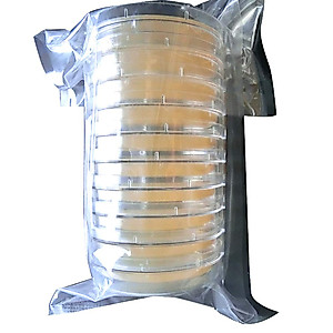 Petri Dishes with Agar, Agar Plates Prepoured Petri Dishes, 100x100mm Culture Medium Agar Plates Dextrose Agar Petri Dishes for Science Fair Projects (Pack of 10)