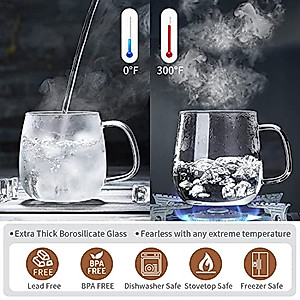 DOPUDO PAVILION Glass Tea Cup with Infuser and Lid, 17.6oz/ 520ml Borosilicate Glass Large Tea Mug with Infuser, Clear Teacup for Loose Leaf Tea, Blooming Tea, Tea Bag