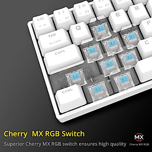 DREVO Calibur V2 TE Cherry MX Blue RGB 60% Wired Mechanical Gaming Keyboard Work for PC/Mac, 71-Key Small Compact US Layout White