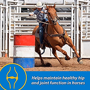 Farnam Fluidflex Liquid Joint Supplement for Horses, Helps Maintain Healthy Hip & Joint Function, 1 Gallon, 128 Ounces, 128 Day Supply