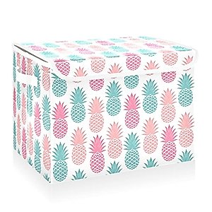 CaTaKu Vintage Pineapple Storage Bins with Lids Fabric Large Storage Container Cube Basket with Handle Decorative Storage Boxes for Organizing Clothes Shelves