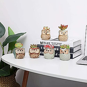 T4U 2.5 Inch Owl Ceramic Succulent Planter Pots with Drainage Hole Set of 12, Flowing Glaze Porcelain Handicraft Plant Holder Container Gift for Mom Sister Aunt Best for Home Office Garden Decoration
