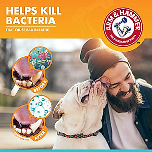 Arm & Hammer for Pets Clinical Care Dental Enzymatic Toothpaste for Dogs | Soothes Inflamed Gums | Safe for Puppies | Fresh Breath Vanilla Ginger - 72 Pack