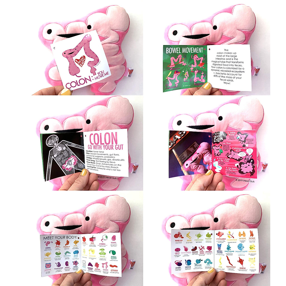 I Heart Guts Colon Plush - You Move Me - 11" Colon Care Tips with Stuffed Toy