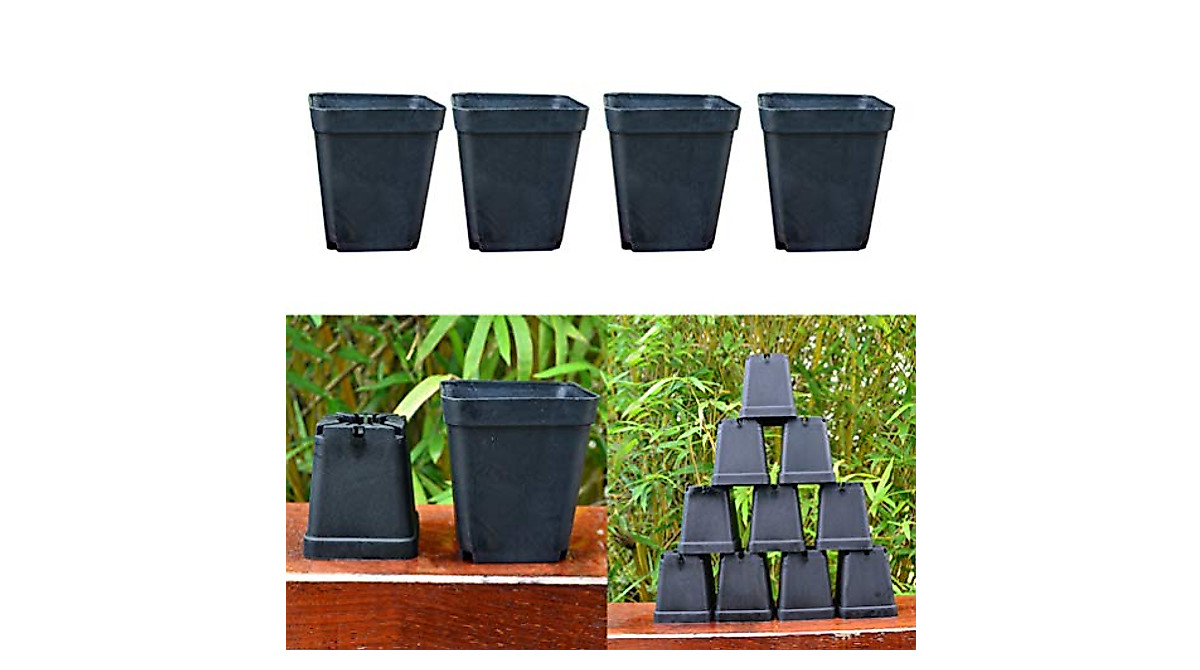 NUOBESTY 2 Inch Black Square Flower Pots - 100PCS Set