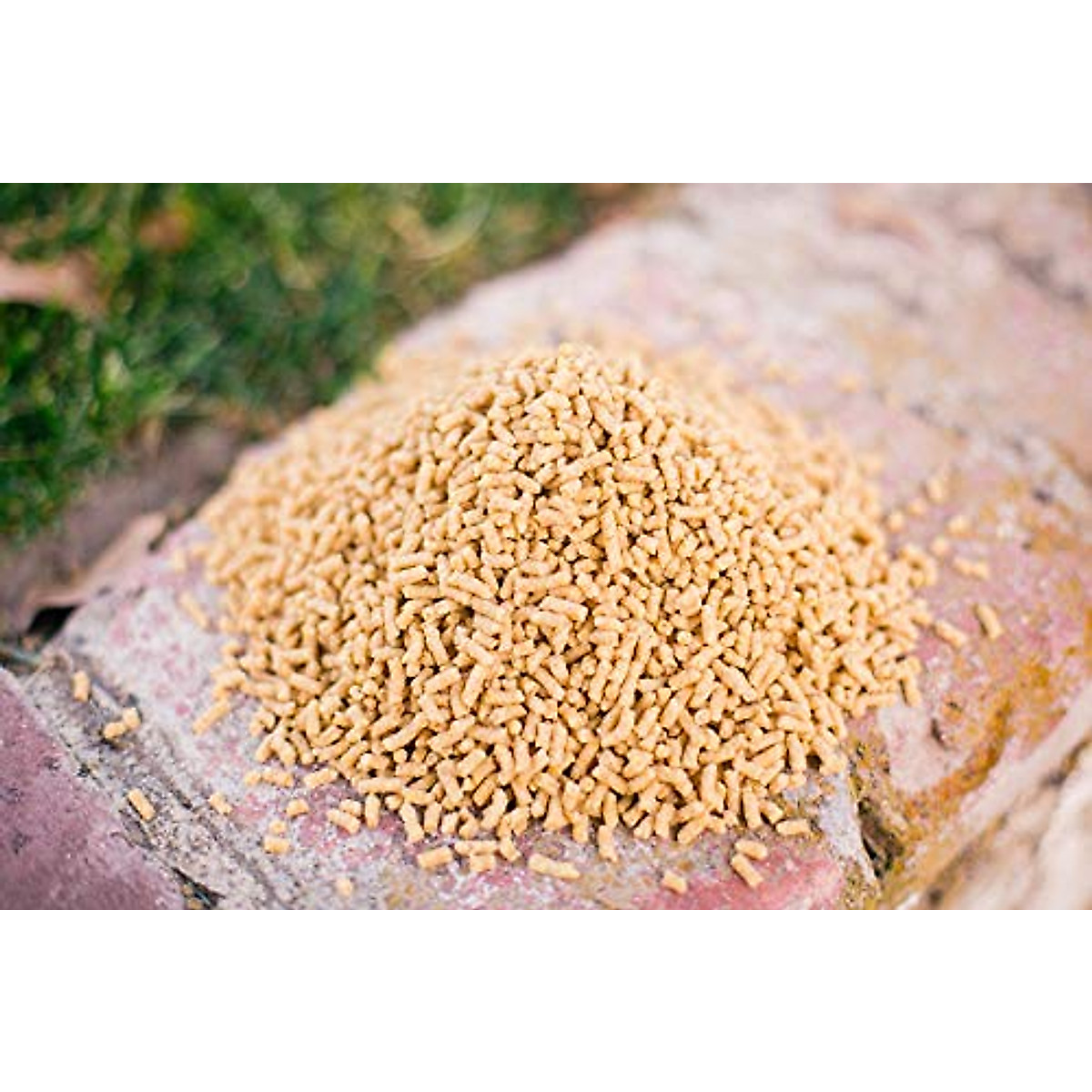 Hygain TRU GAIN - High Fat Conditioner - Rice Bran Oil Pellet with Vitamin E and Selenium