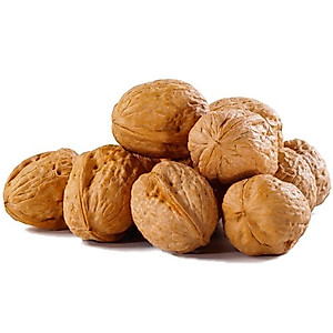 In Shell Jumbo Walnuts - 20 lb.