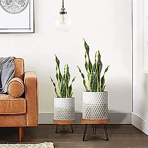 Athaliah Wood Plant Stand, 2 Pack Wooden Plant Stool Indoor, Mini Mid Century Modern Plant Flower Holder for Rustic Home Garden Patio Office Table Decor