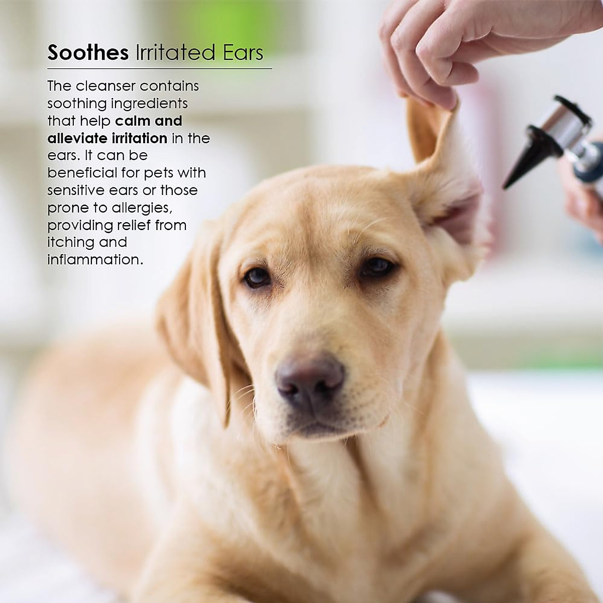 Otiderm Ear Cleansing Solution with Aloe Vera for Dogs & Cats, Anti-Irritant Formula with Neutral pH and Aloe Vera, Deodorize & Gently Clean - 8 fl oz