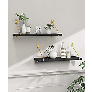 Gronda Black Floating Shelves Set of 2, Black Gold Wall Shelves Minimalist Modern Wall Decor Wooden Bookshelves Trophy Display Storage Plants Floating Shelves Wall Mount Living Room Bedroom Bathroom