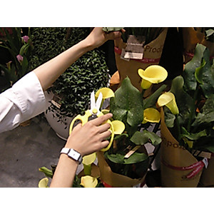 Sakagen Flower Scissors Hand Creation F-170 (Orange, 170mm)