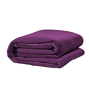 Avana Waterproof Throw Blanket | Protector for People and Pets | Leak Proof Moisture Barrier - Regular Size, Micro-Velvet Purple