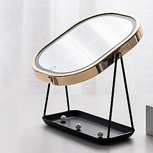 DYPASA Vanity Mirror Desktop LED Makeup Mirror with Light and Fill Light Beauty Mirror Desktop Makeup Mirror with Light Rechargeable (Large Size) Household Cosmetic Mirror