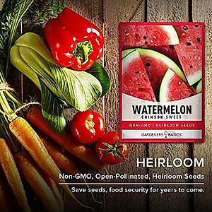 Watermelon Seeds for Planting - Crimson Sweet Heirloom Variety, Non-GMO Fruit Seed - 2 Grams of Seeds Great for Outdoor Garden by Gardeners Basics