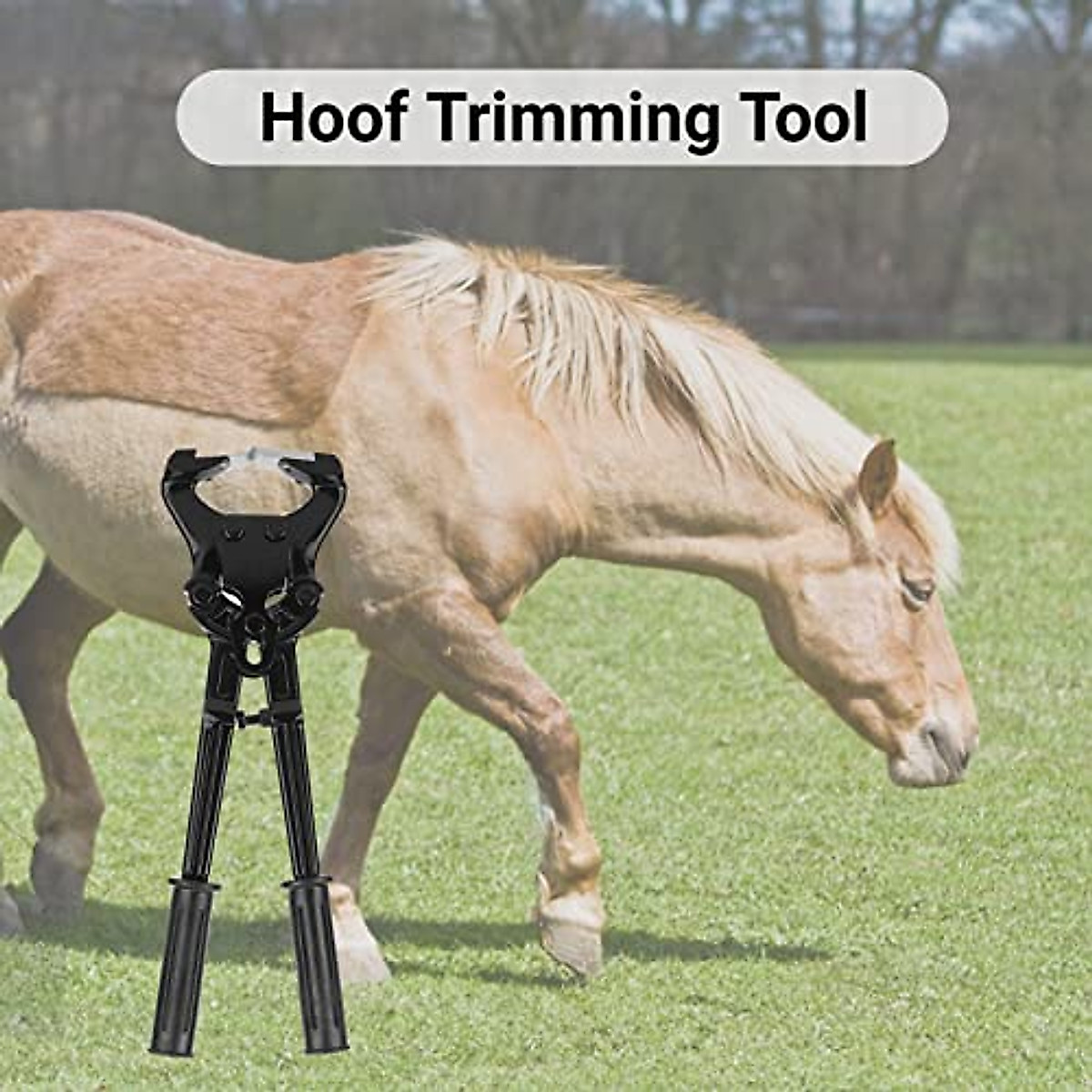 Farriers Hoof Nipper, Stainless Steel Goat Hoof Trimmer with Ergonomics Grip, Non‑Slip High‑Hardness 16.1In Cow Hoof Pincers Livestock Equipment for Hoof Trimming