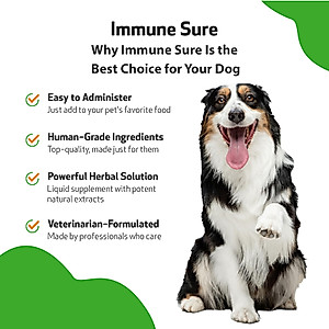 Pet Wellbeing Immune Sure for Dogs - Vet-Formulated - Immune System Support & Protection - Natural Herbal Supplement 2 oz (59 ml)