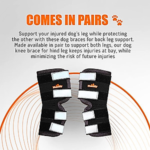 NeoAlly Pair Dog Rear Leg Brace Canine Rear Hock Joint Support with Safety Reflective Straps for Joint Injury and Sprain Protection, Wound Healing and Loss of Stability from Arthritis (M Pair)