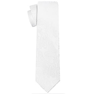 KissTies Mens Necktie Paisley Tie + Gift Box