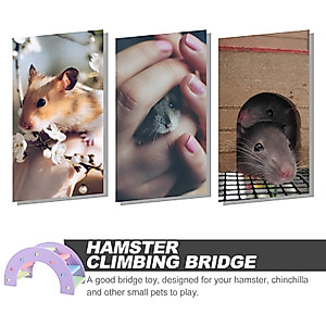 POPETPOP Hamster Cage Toy Gerbil Climbing Ladder Rat Hideout Guinea Pig Ladder Bridge Small Animal Log Bridge Rat Ladder Chinchilla Wooden Hut Hamster Playground Pet Chevron Board Reptile