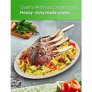 Teoox 100% Compostable Oval Plates Biodegradable Plates, BPI-Certified Eco Paper Plates, Bagasse Platter Plates, Recyclable Paper Plates, Sugarcane Plates (12.5 Inch - 40 Count)