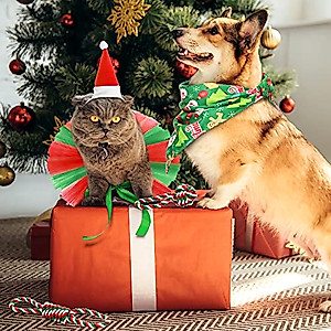 5 Pieces Christmas Dog Costume Set, Include Christmas Adjustable Pet Hat, Red and Green Tutu Skirt, Dog Bandana, Christmas Rope Dog Toy for Small Medium Dog Puppy Cat Pet Xmas Party Accessories