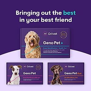 Orivet Dog DNA Test | Comprehensive Dog Breed Test Kit, Genetic Testing and Life Plan GenoPet+ for Canines