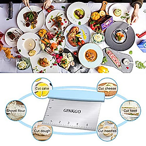 GINKGO Stainless Steel Bench Scraper Red and Blue