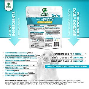 Doggie Dailies Cognitive Puppy Chews | Puppy Vitamins with DHA, Selenium, Organic Ashwagandha & Antioxidants to Support Brain Health, Nervous System Function & Promote Calmness | 120 Soft Chews